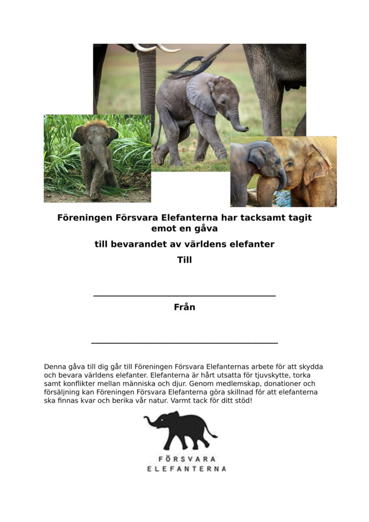 Ge bort donation som gåva | Försvara Elefanterna